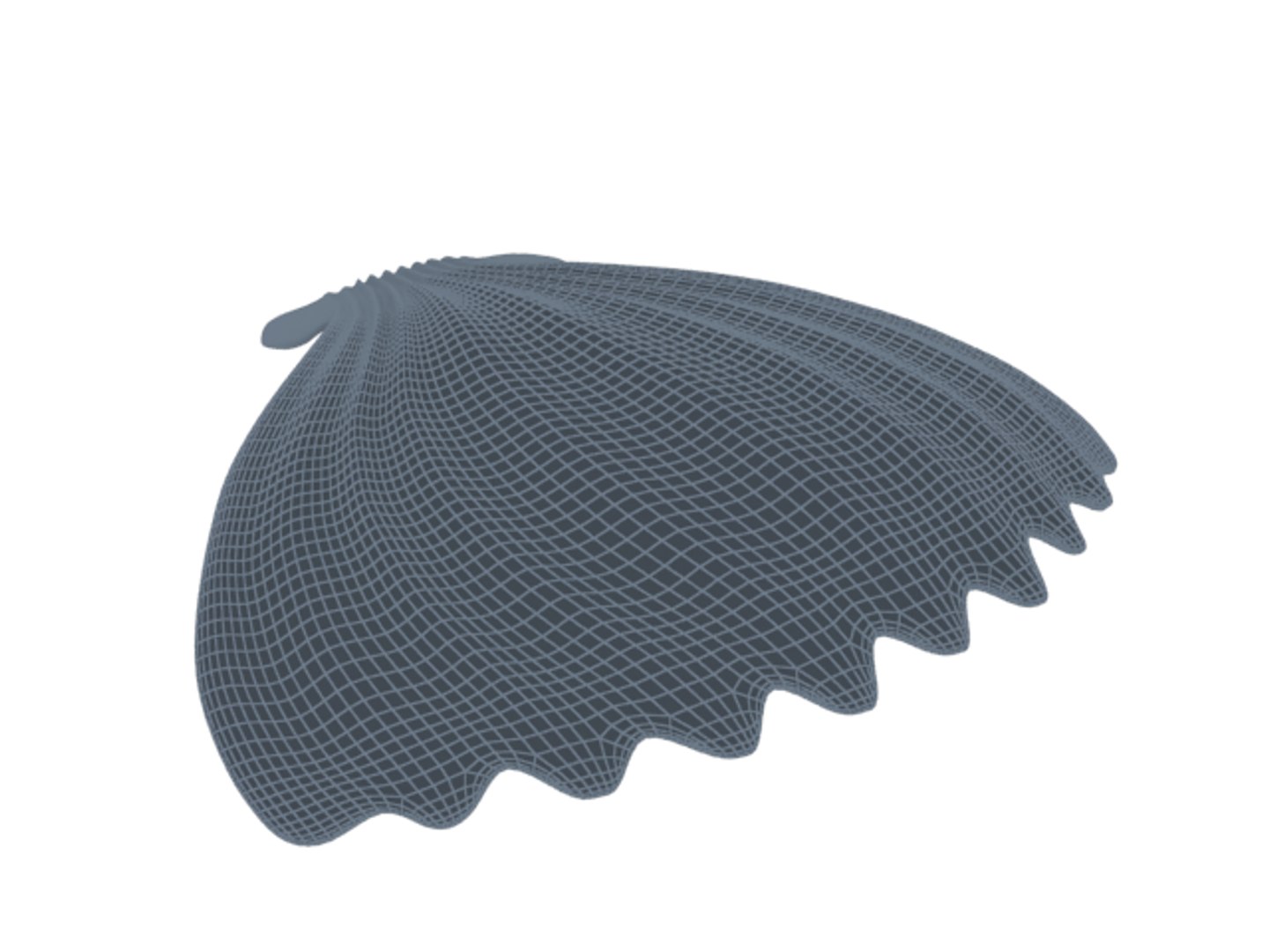 sea shell 3d max