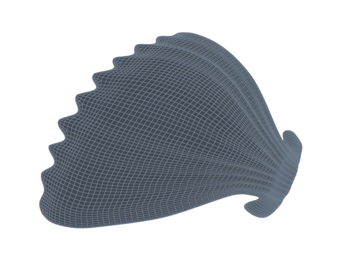 sea shell 3d max