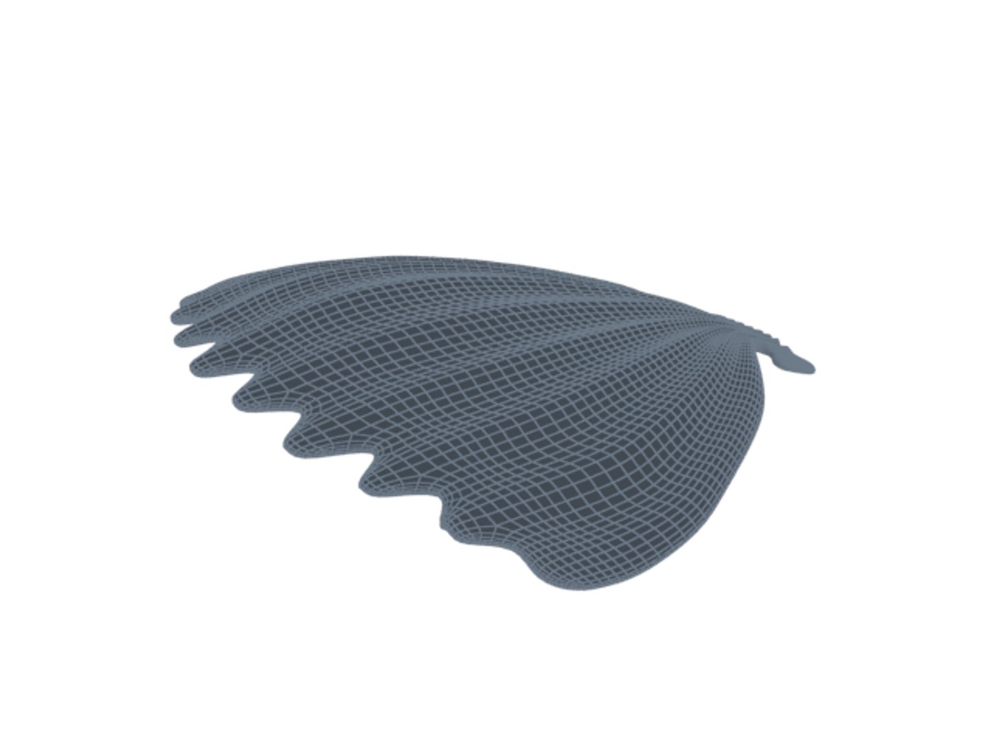 sea shell 3d max
