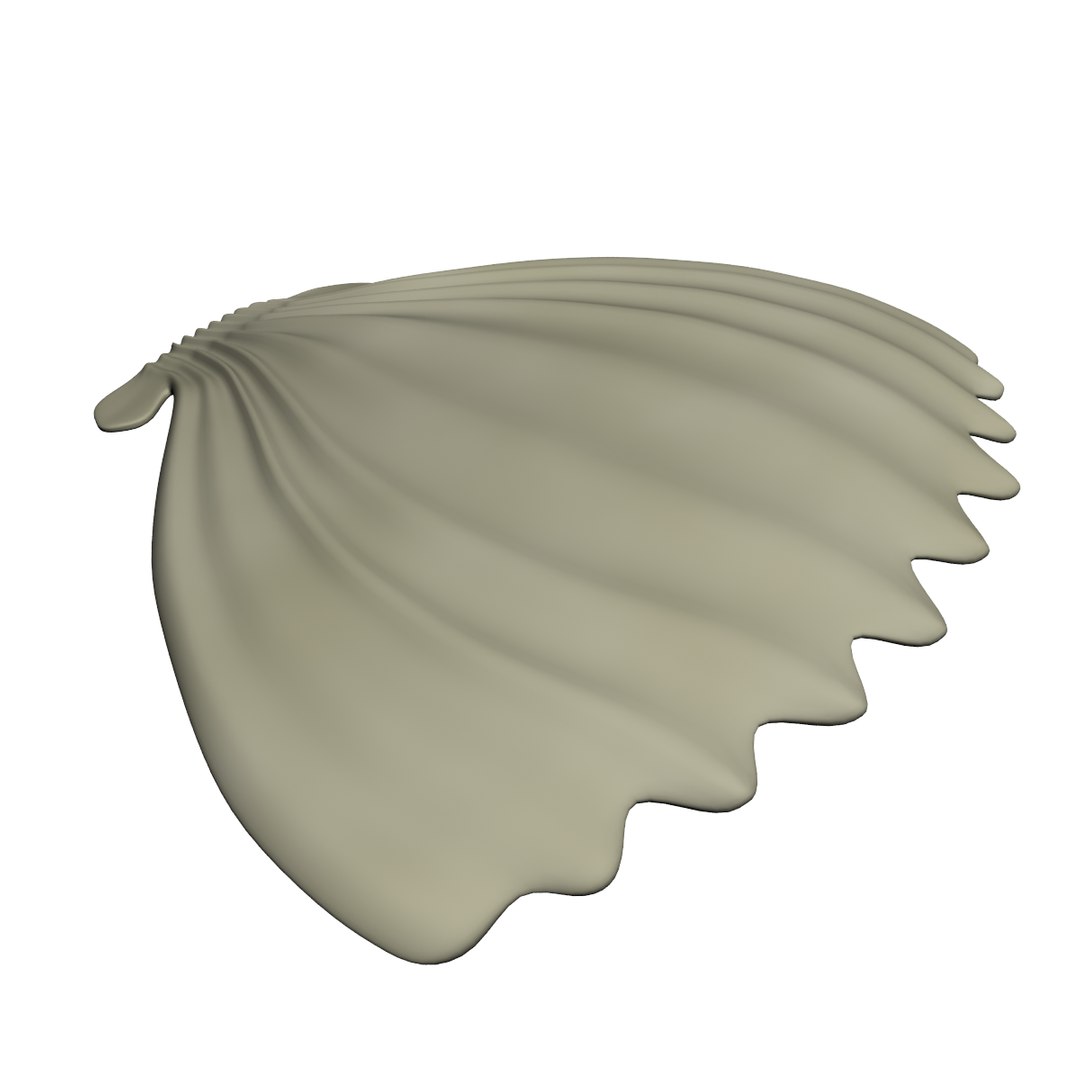 sea shell 3d max