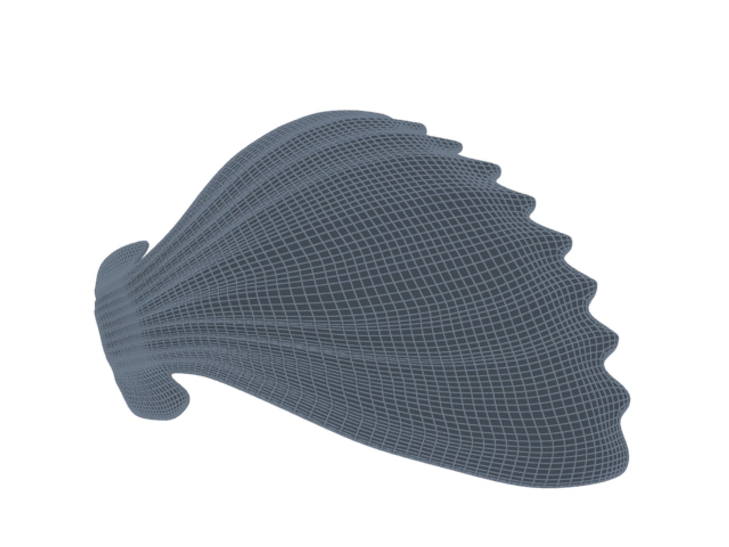 sea shell 3d max