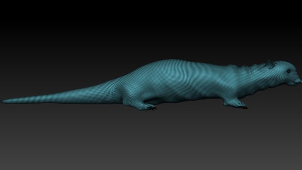 3D model Otter Stl - TurboSquid 1774276