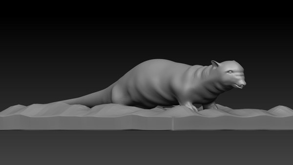 3D model Otter Stl - TurboSquid 1774276