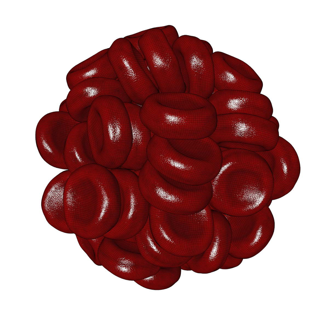 Clotted Blood Cells 3d Model