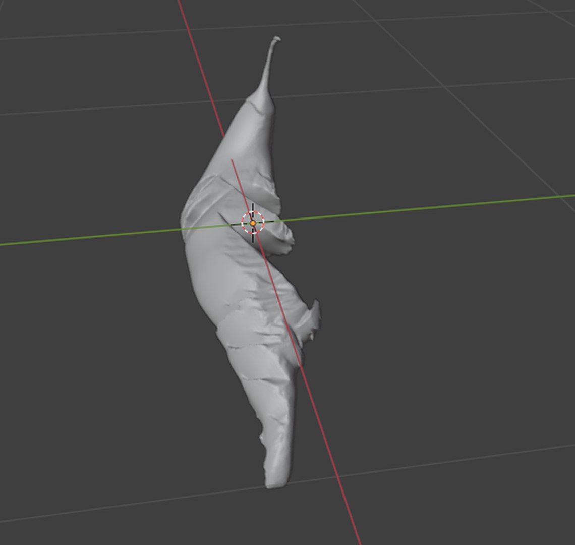 Cut Hot Pepper Detailed Realistic 3D Asset Model - TurboSquid 2284887