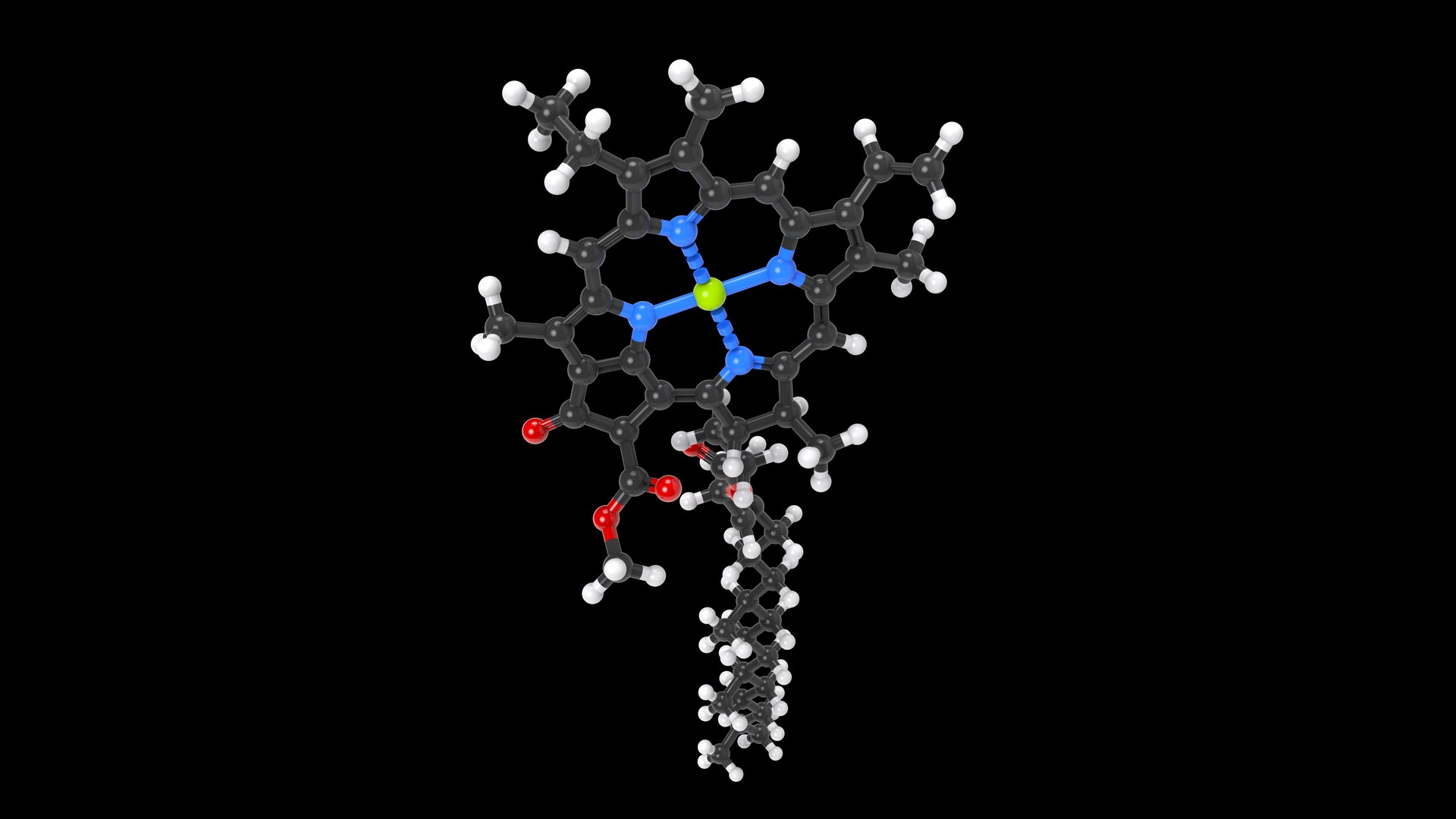 3D Chlorophyll-b - TurboSquid 2210458