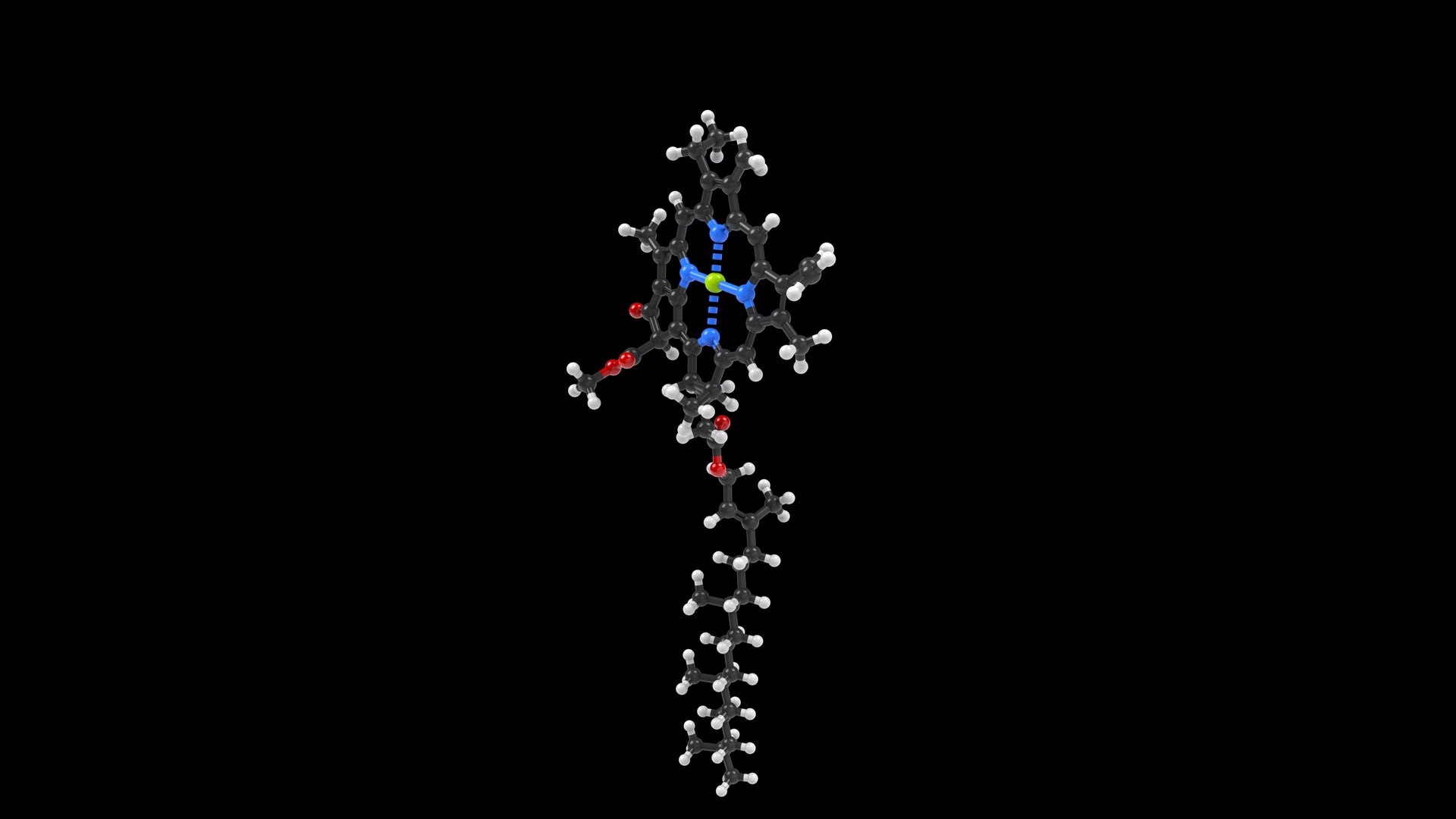 3D Chlorophyll-b - TurboSquid 2210458