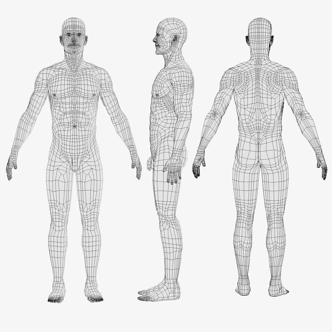 peter male character 3d model