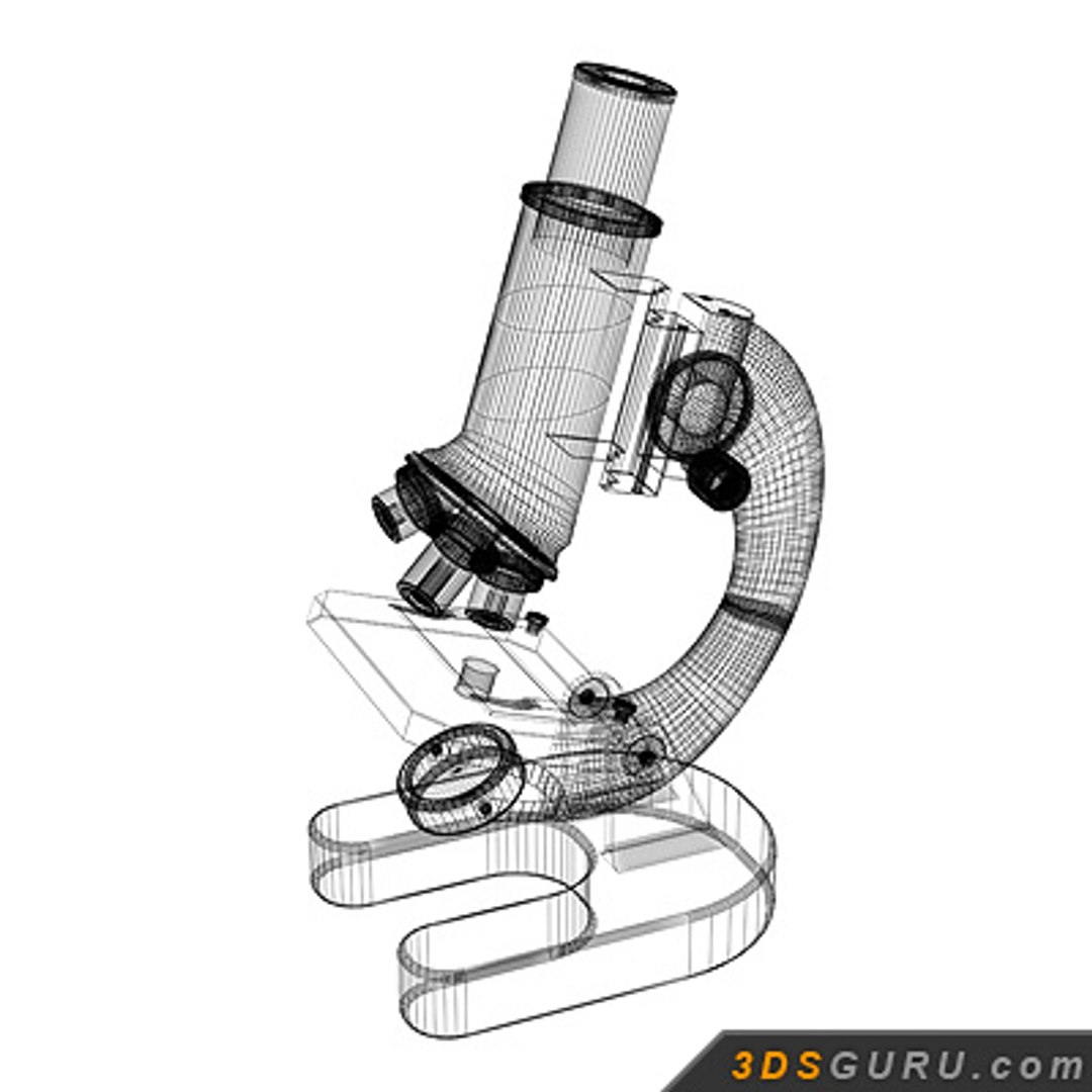 3d Microscope Model