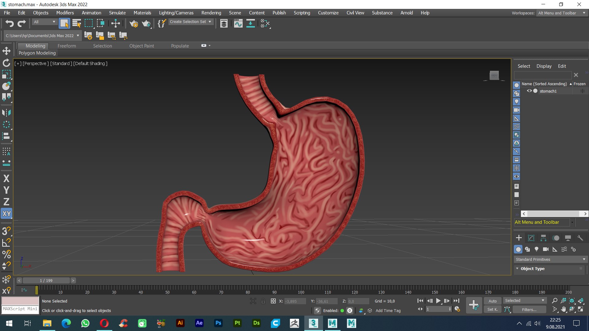 3D Stomach model - TurboSquid 1771610