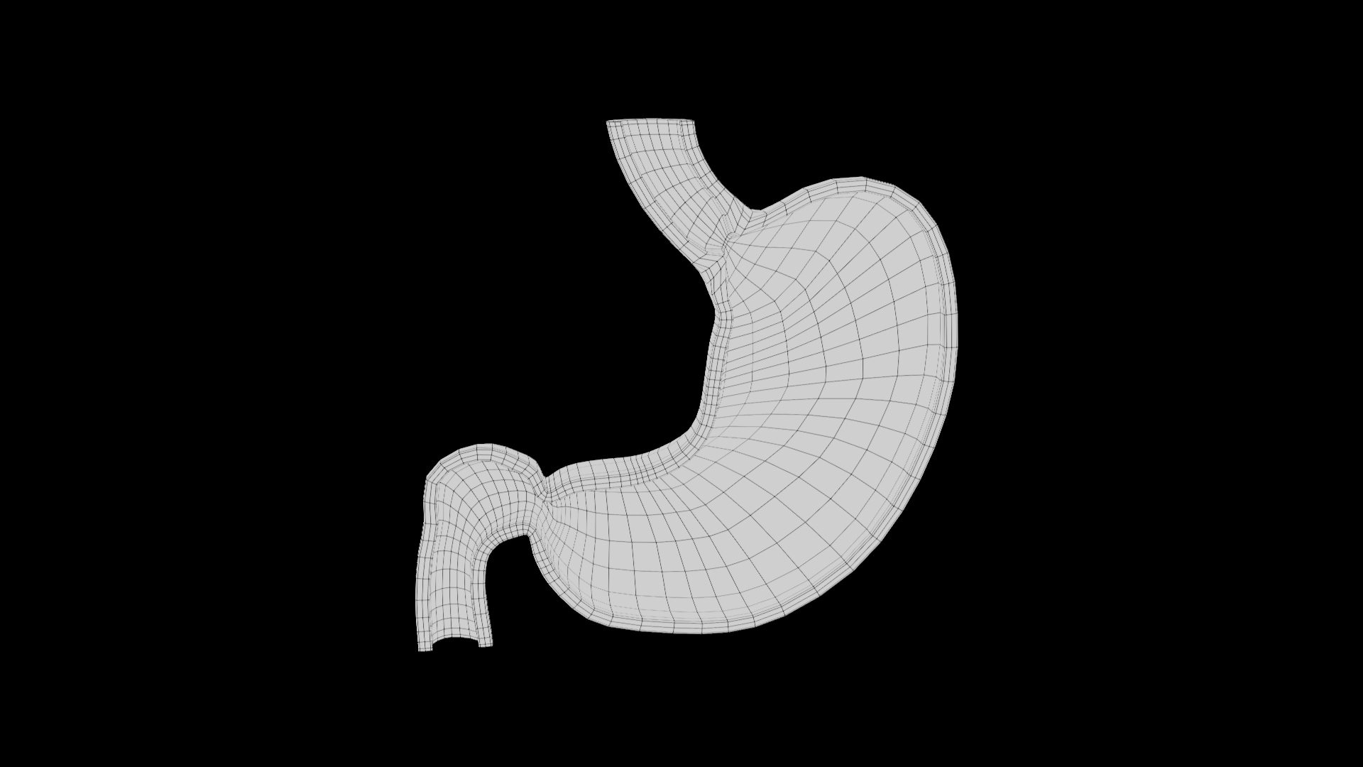 3D Stomach model - TurboSquid 1771610