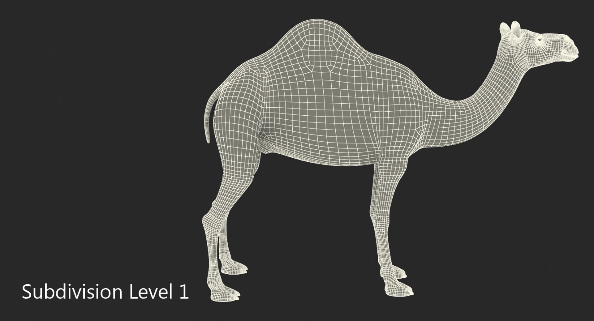 3ds Camel Realistic