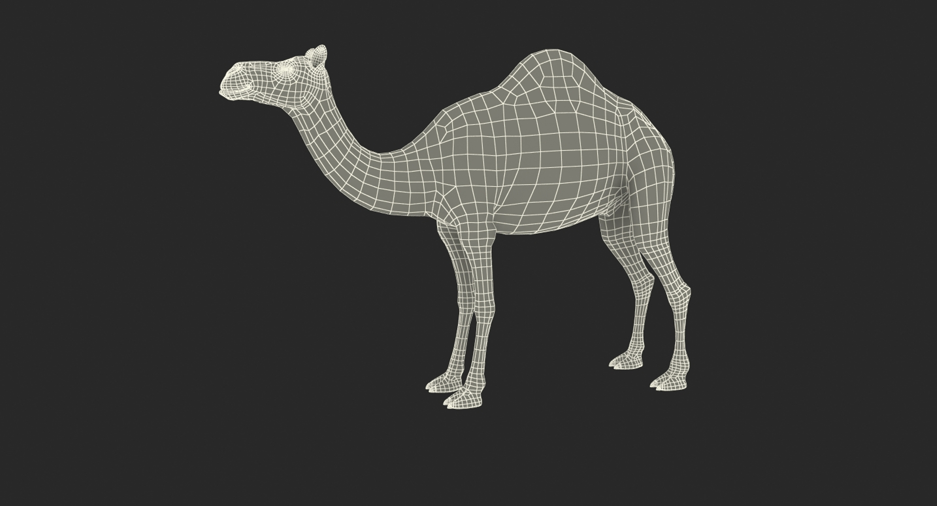 3ds Camel Realistic