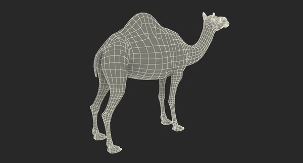 3ds camel realistic