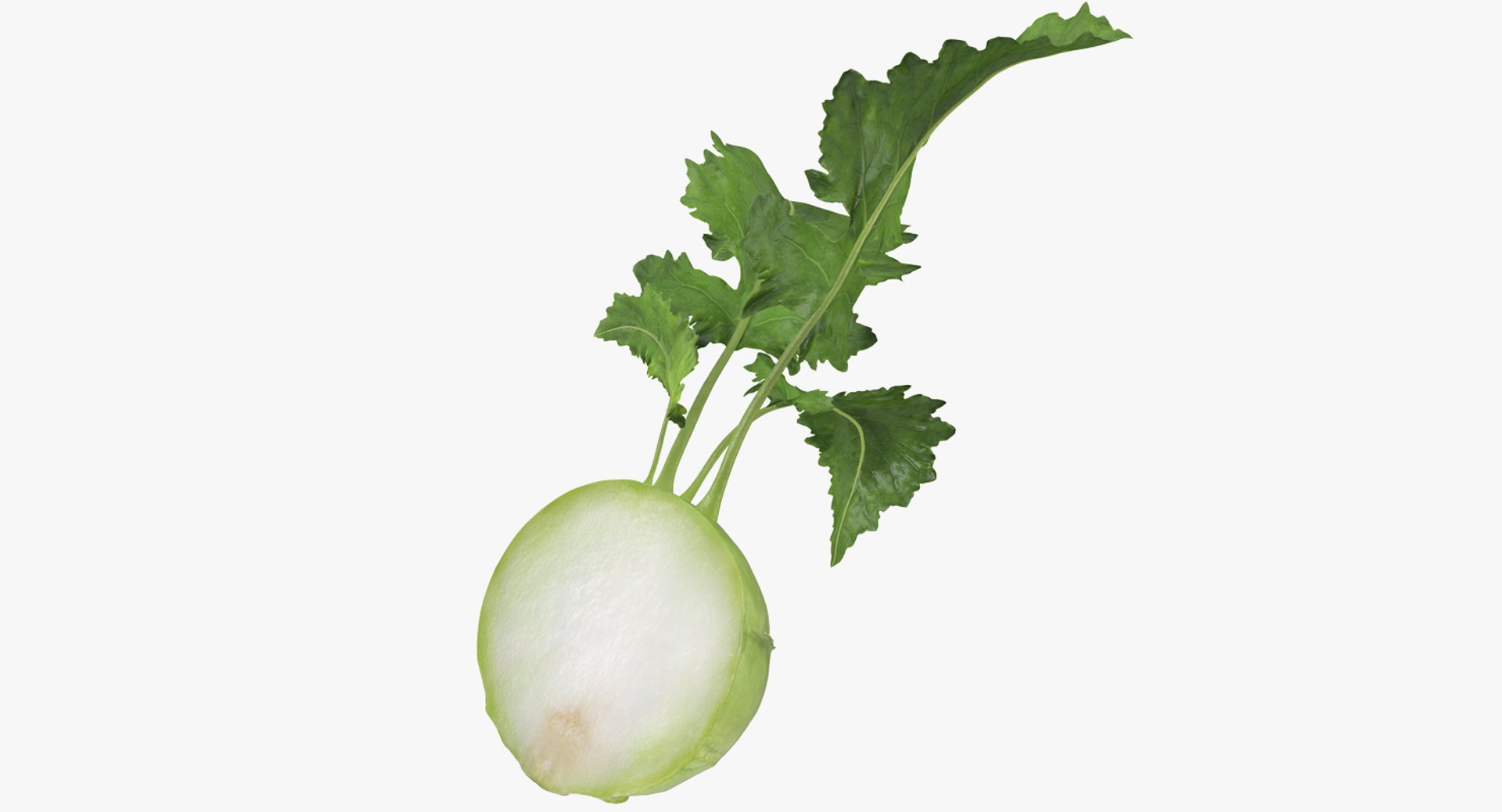 Kohlrabi german turnip half model - TurboSquid 1203496