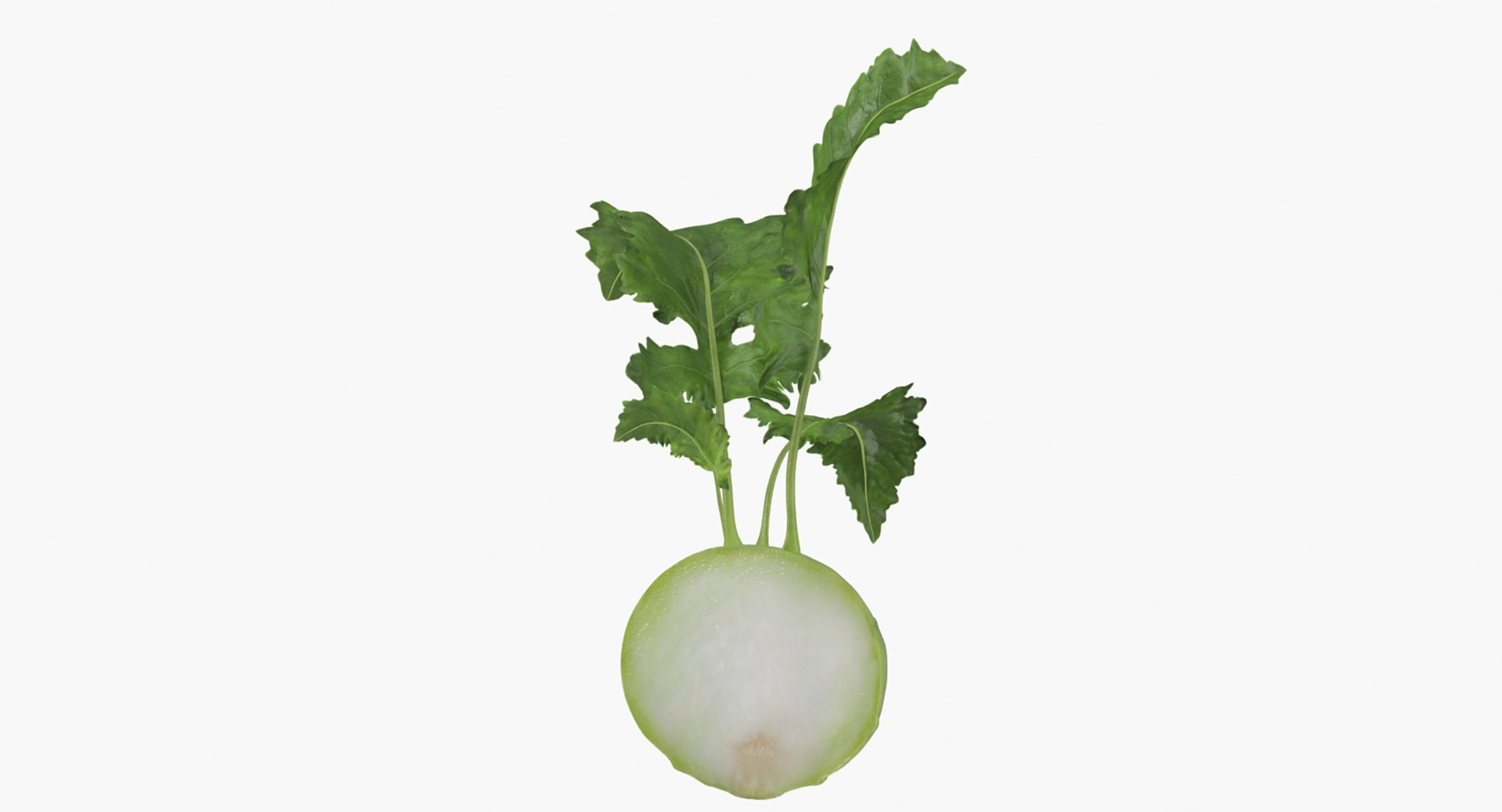 Kohlrabi german turnip half model - TurboSquid 1203496