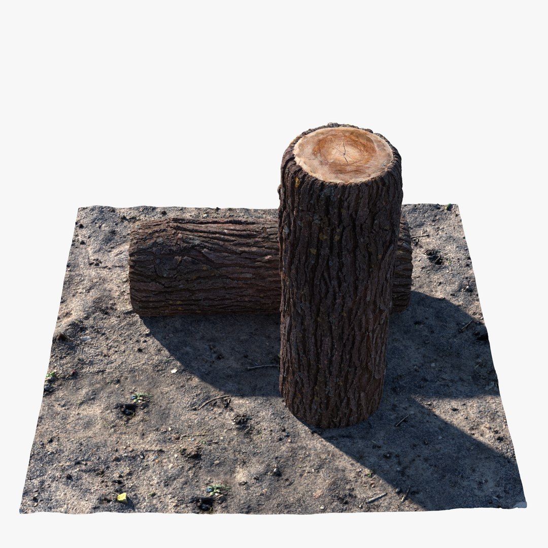 3D Model Log - TurboSquid 1150330