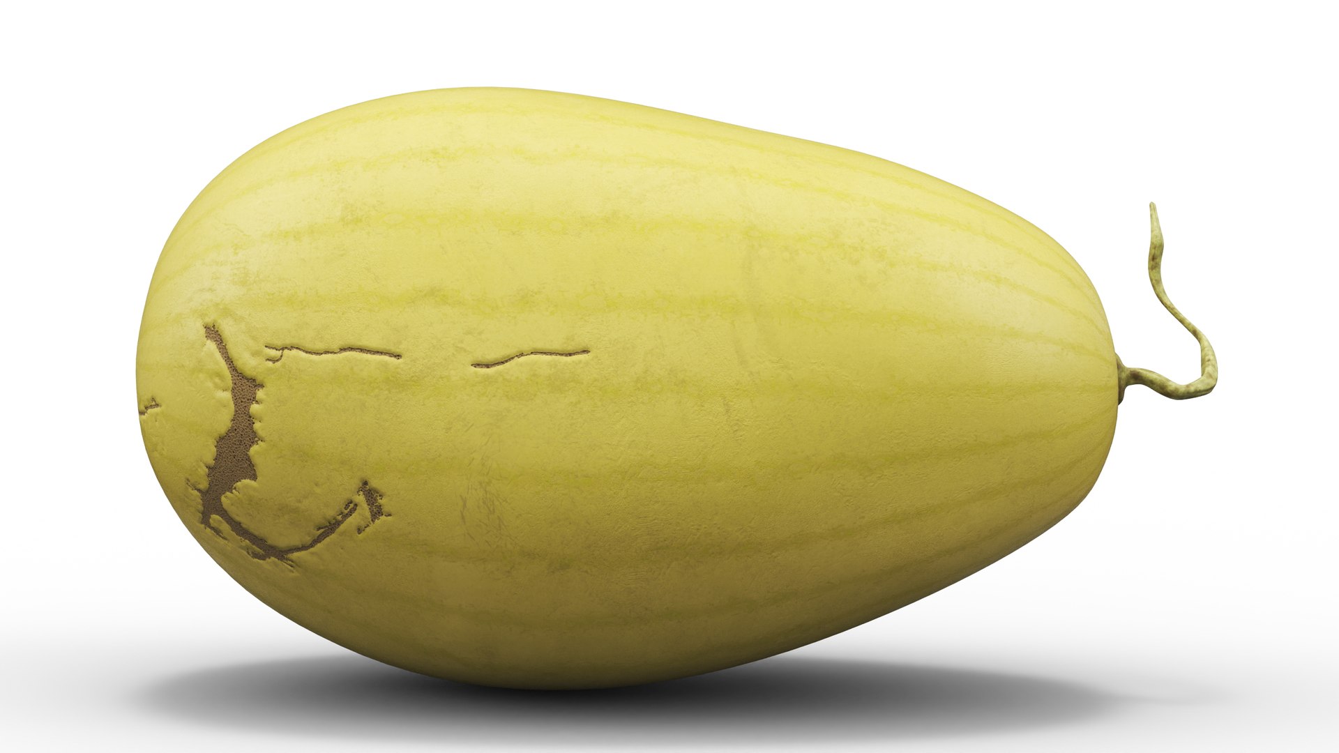Yellow Skin Watermelon 3D model - TurboSquid 2094475