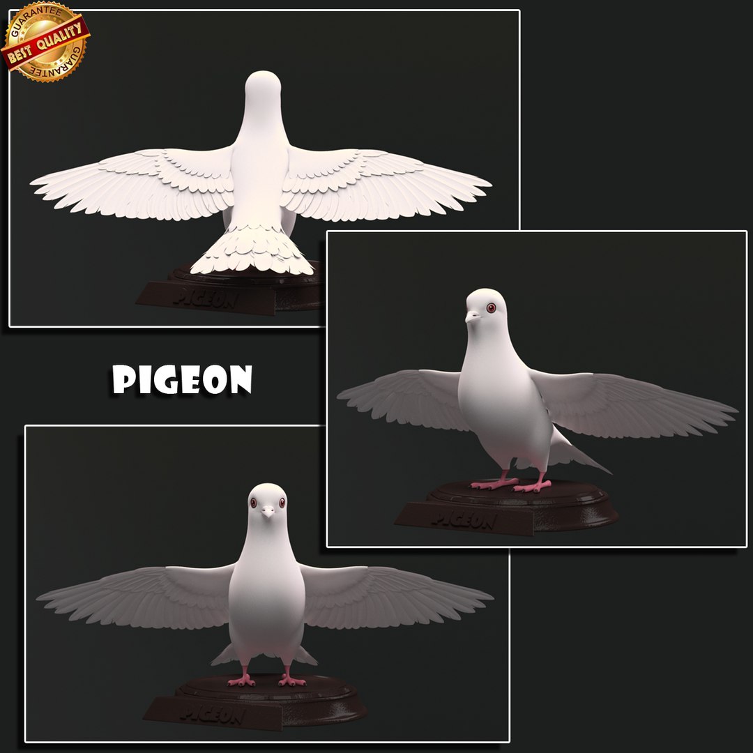 3d Model Pigeon