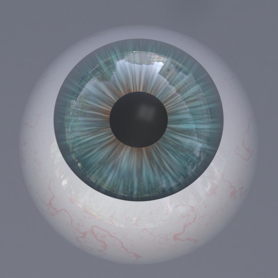 Eye Realistic Human Characters 3D Model - TurboSquid 1437321