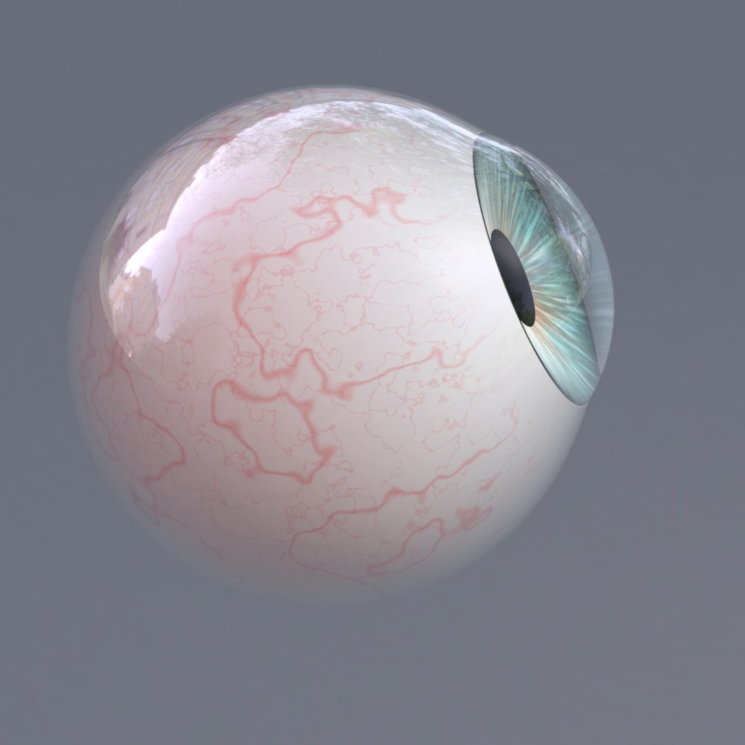 Eye Realistic Human Characters 3D Model - TurboSquid 1437321