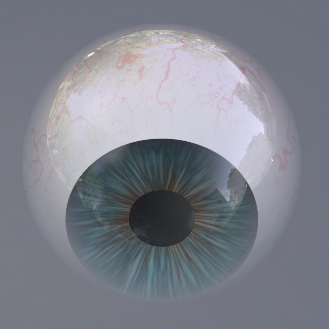 Eye Realistic Human Characters 3D Model - TurboSquid 1437321