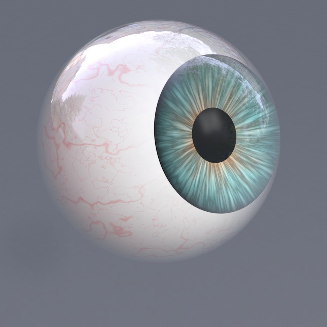 Eye Realistic Human Characters 3D Model - TurboSquid 1437321