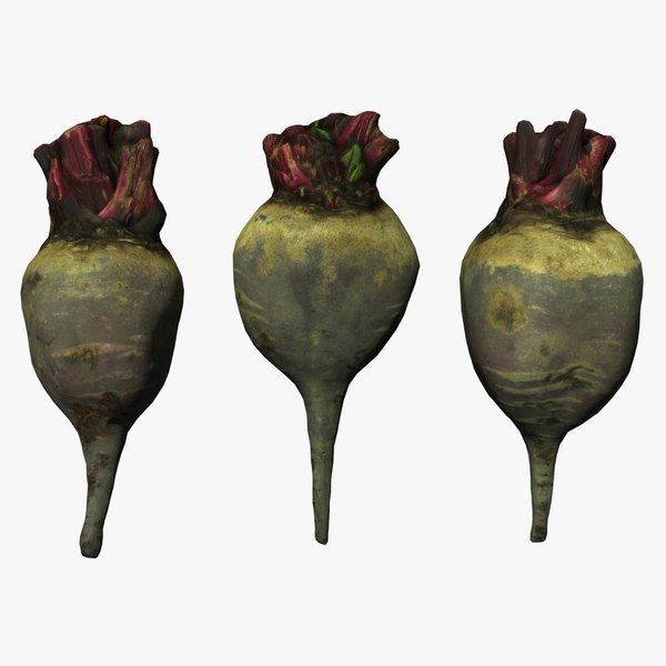 Beet 3D Models for Download | TurboSquid