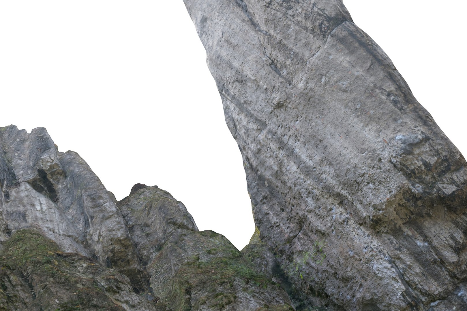 max rock forest autumn 8k