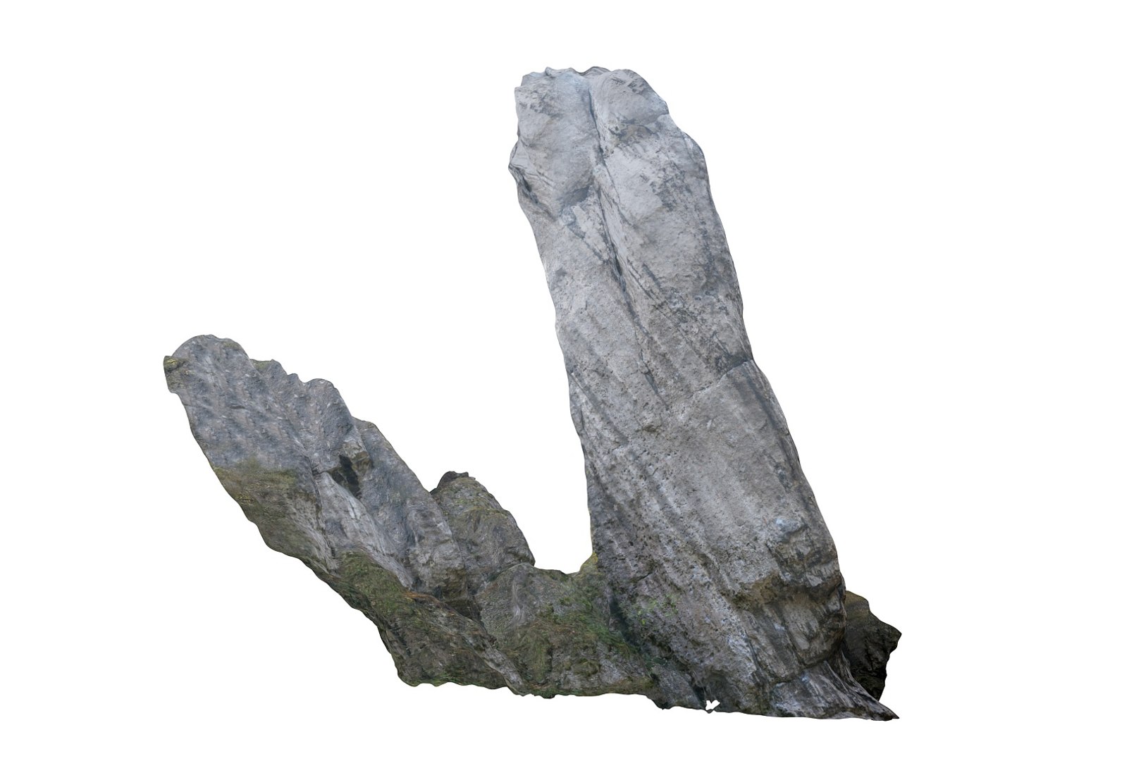 max rock forest autumn 8k