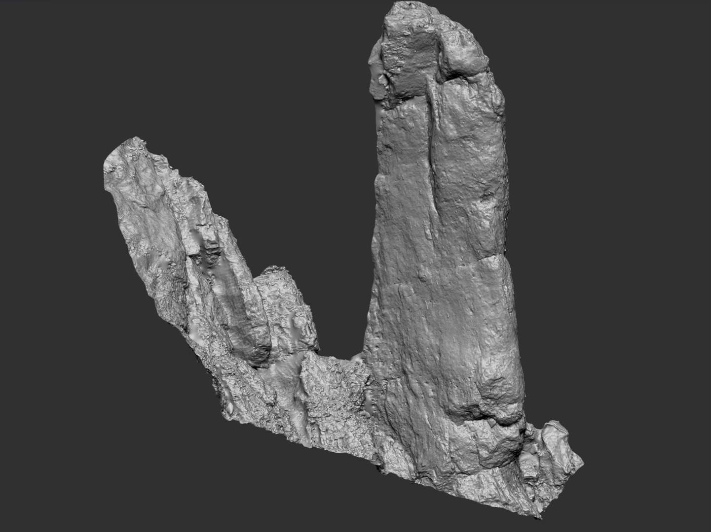 max rock forest autumn 8k