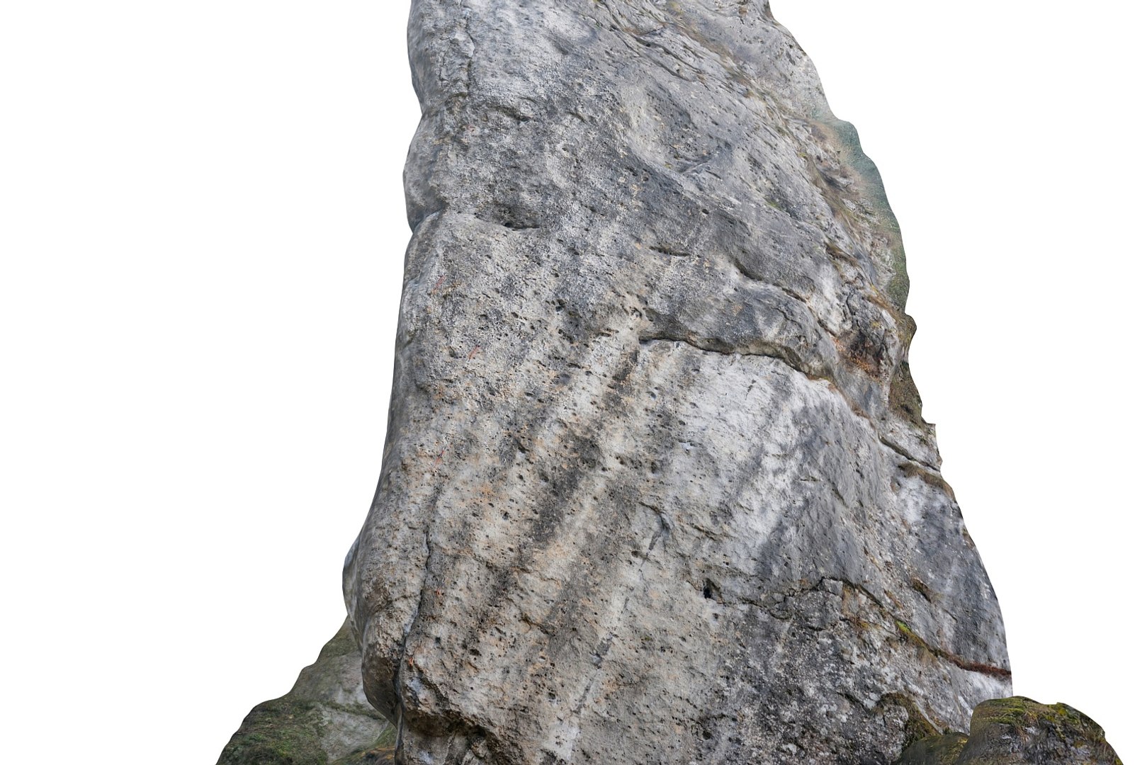 max rock forest autumn 8k