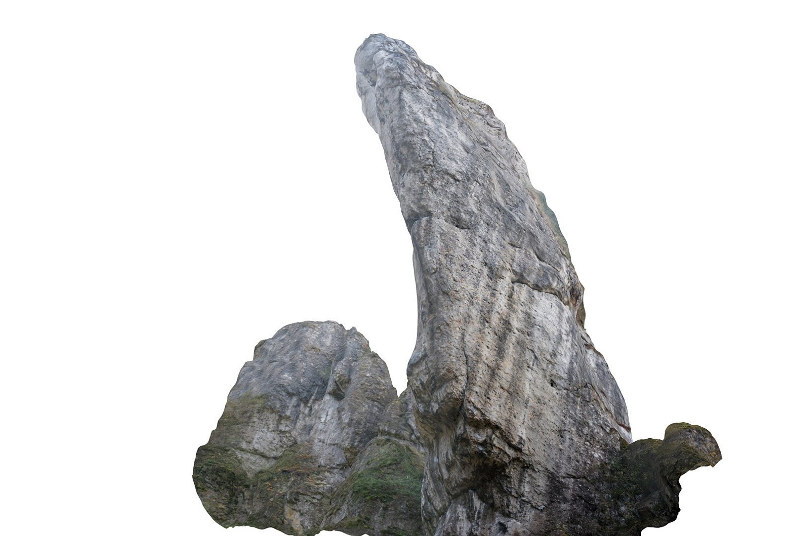 max rock forest autumn 8k