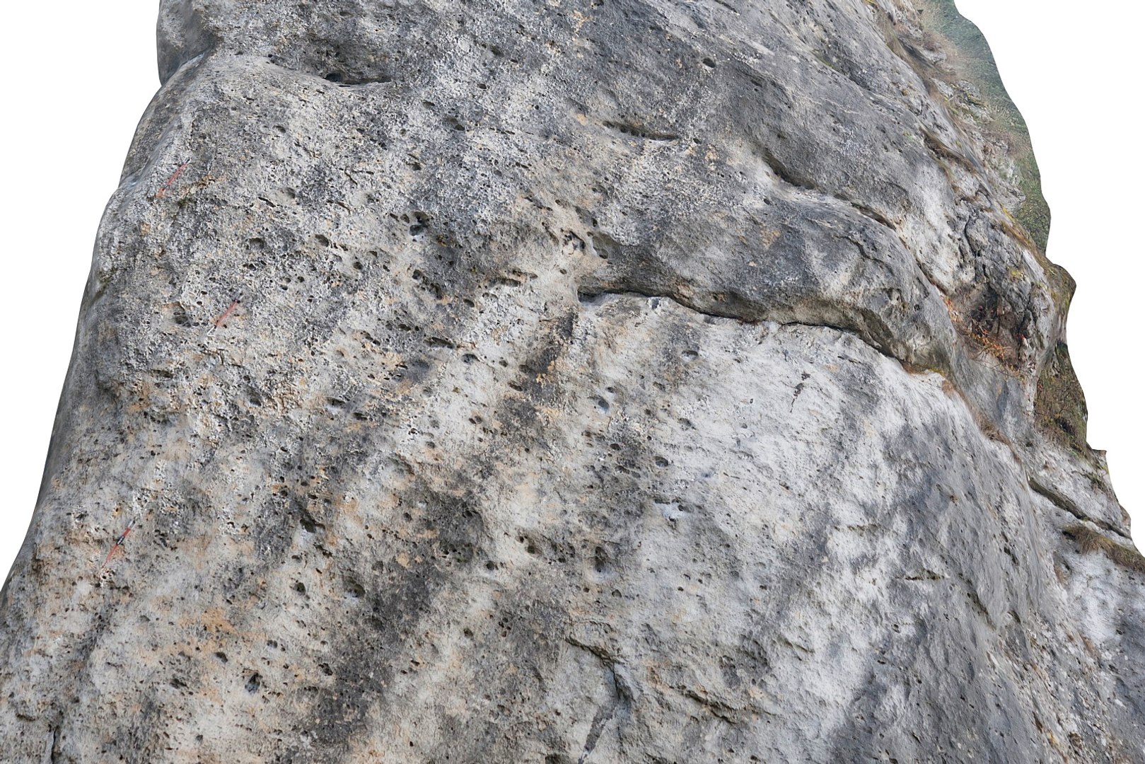 max rock forest autumn 8k