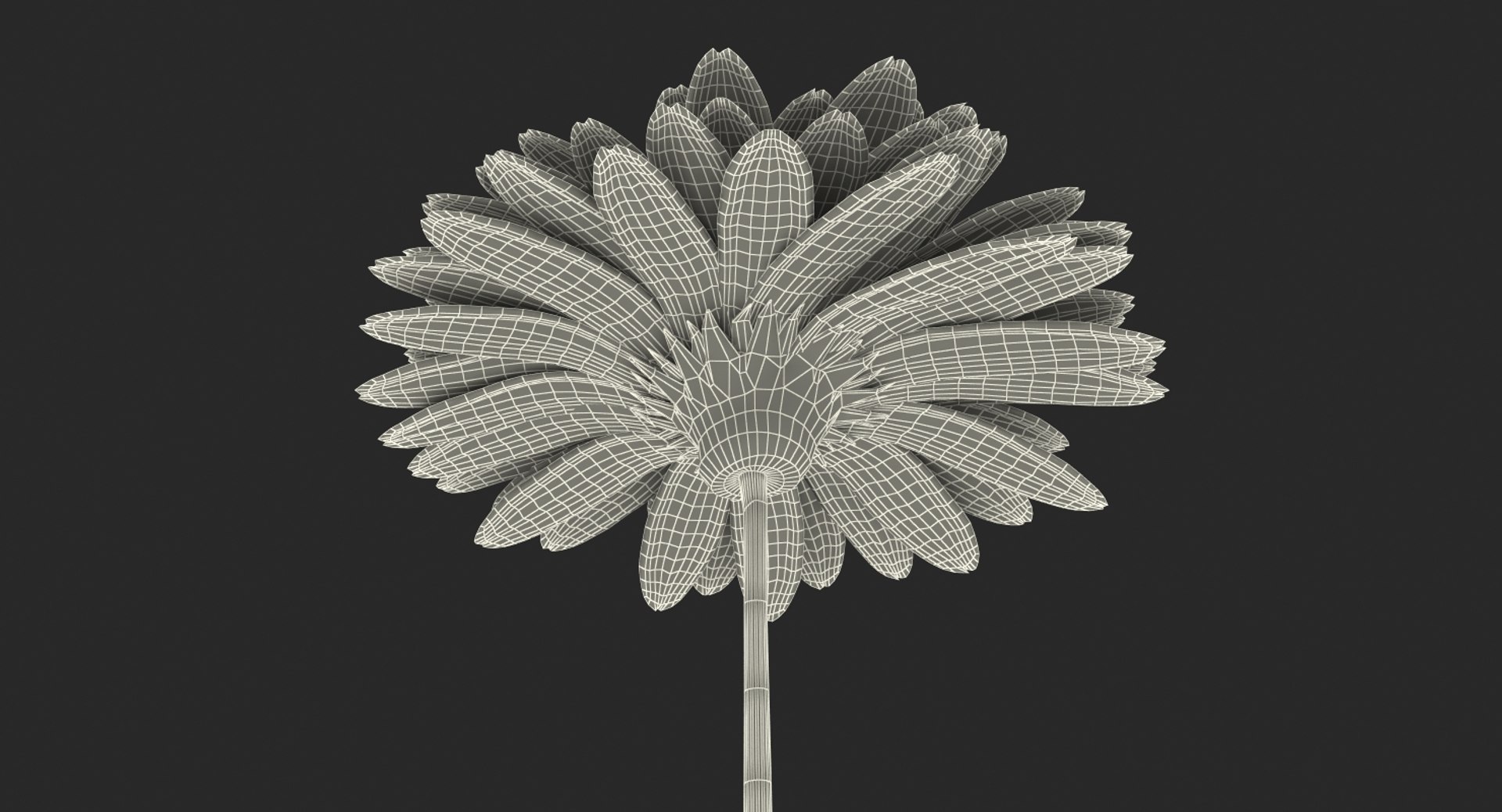 3D Yellow Gerbera Flower Model - TurboSquid 1235686
