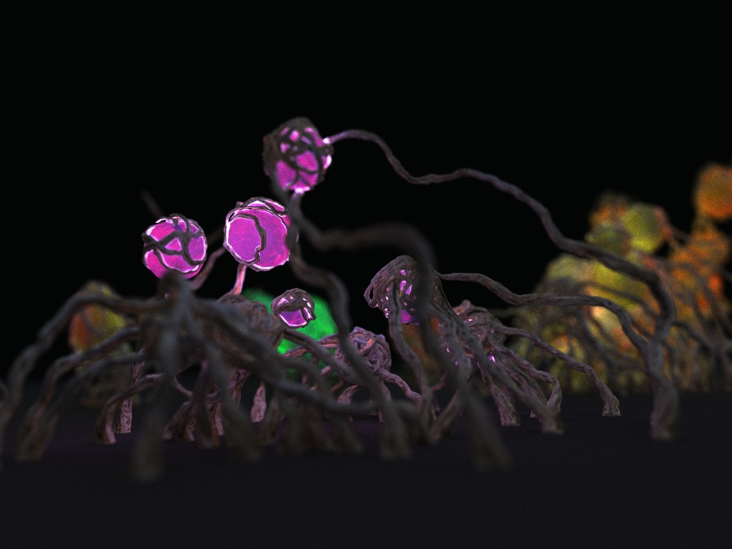 3D Alien Plants Pack 18 Model - TurboSquid 1239866