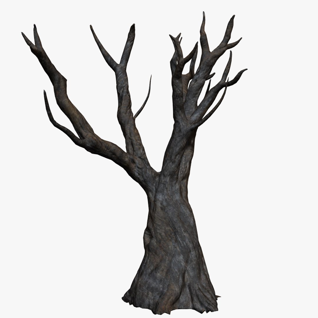 Old Dead Tree 3d Model