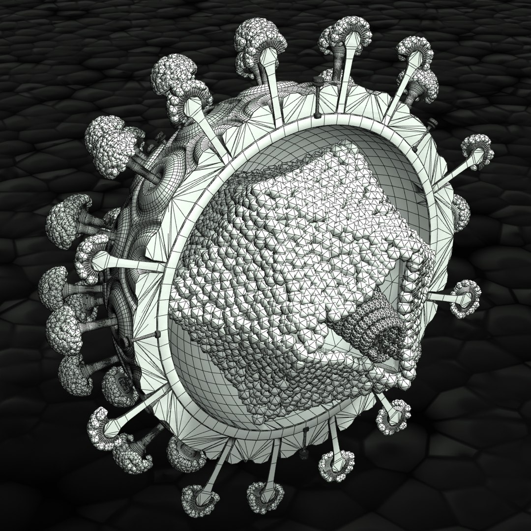 3d Model Virus Structure