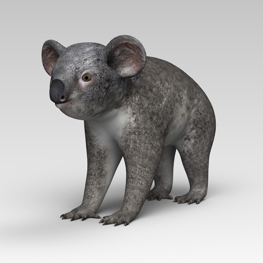 Koala 3d 3ds