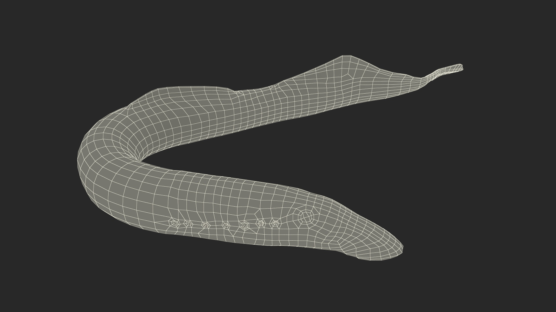 Lamprey Bent Pose 3D Model - TurboSquid 2187566