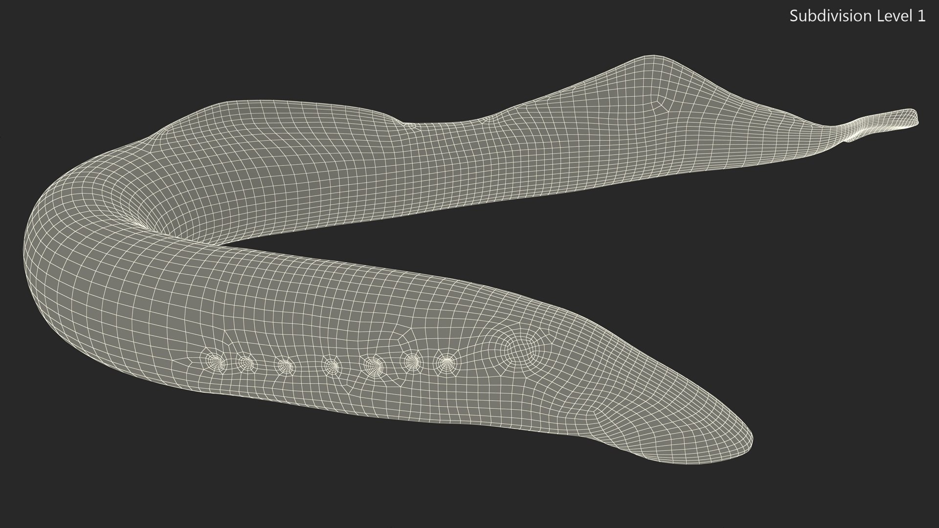 Lamprey Bent Pose 3D Model - TurboSquid 2187566