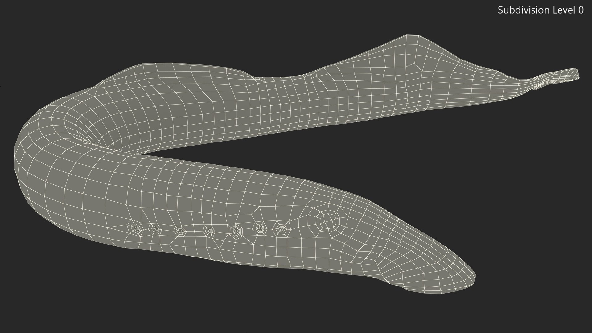 Lamprey Bent Pose 3D Model - TurboSquid 2187566