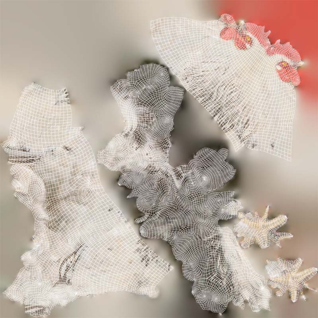 3D Model Brahma Rooster Remastered - TurboSquid 2359457