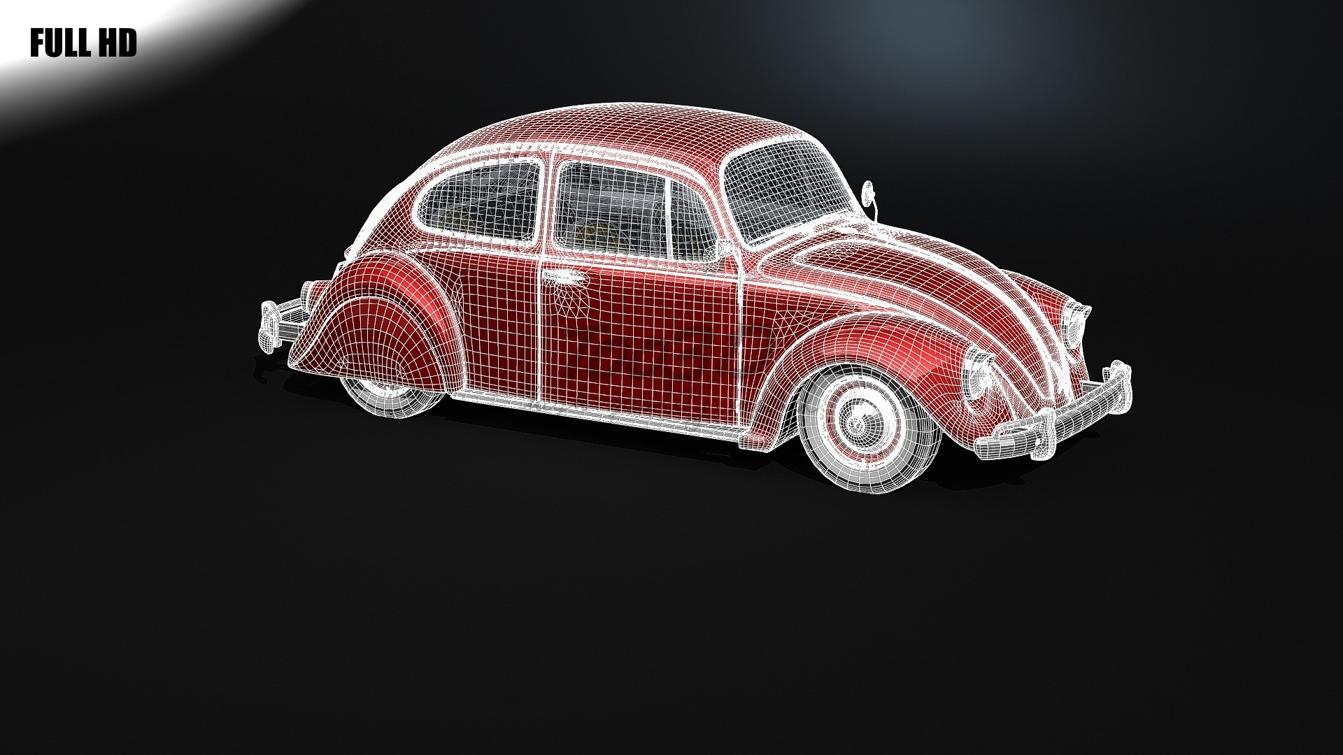 3d Beetle Model