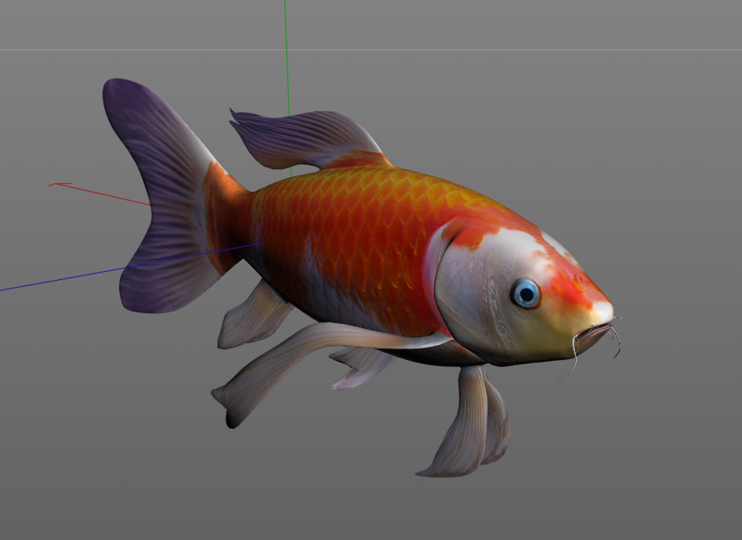 Fish 3D Model - TurboSquid 1551932