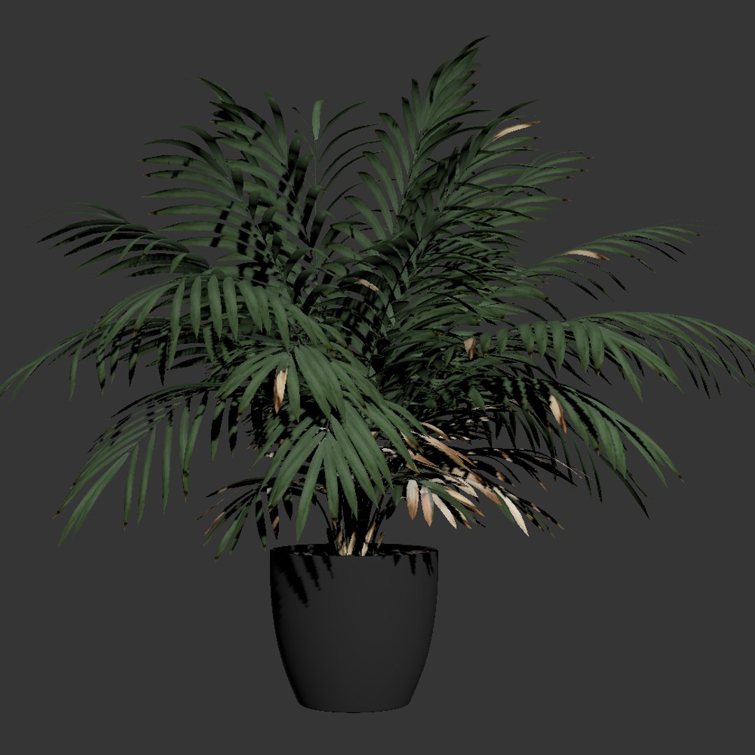 Palm Plant 1 3D Model - TurboSquid 1821801