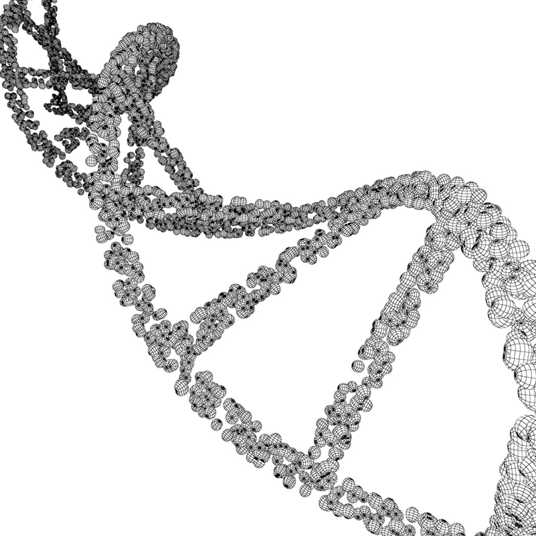Dna Strand 3D Model - TurboSquid 1329501