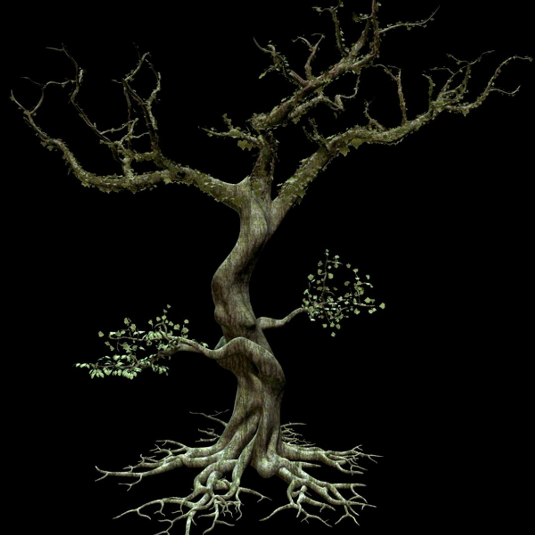Secular Tree 3d Model