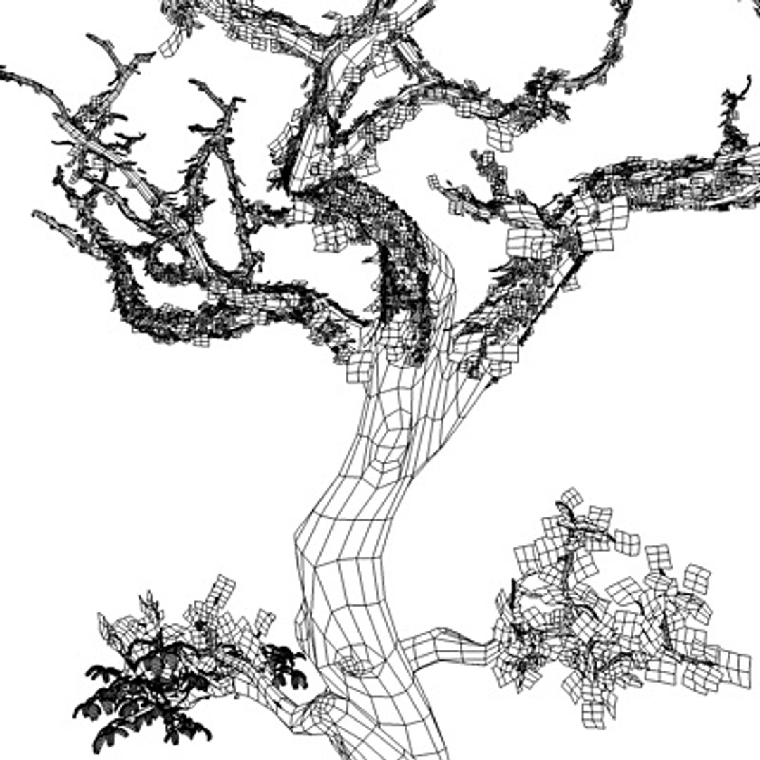 Secular Tree 3d Model