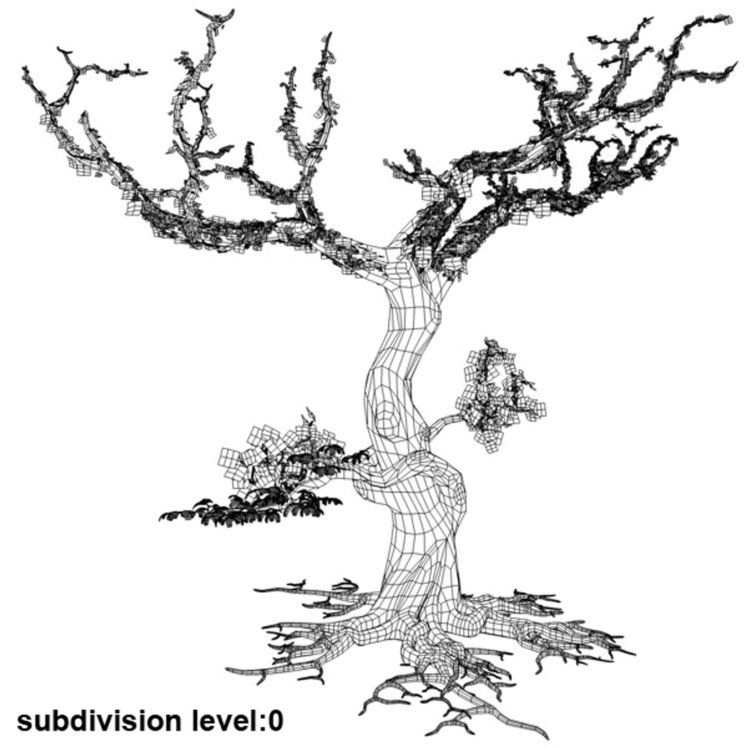 Secular Tree 3d Model
